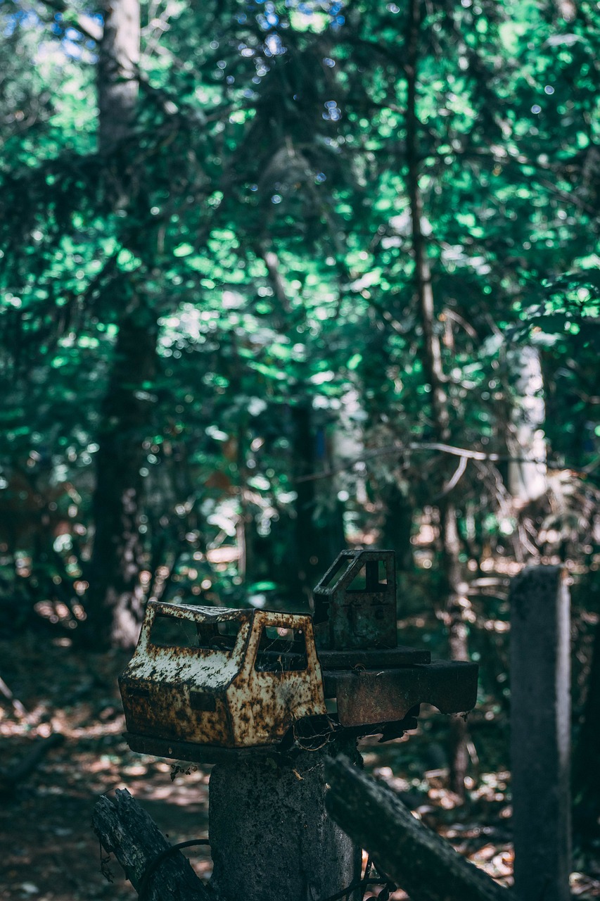 Más de 200 imágenes gratis de Chernobyl y Ucrania - Pixabay