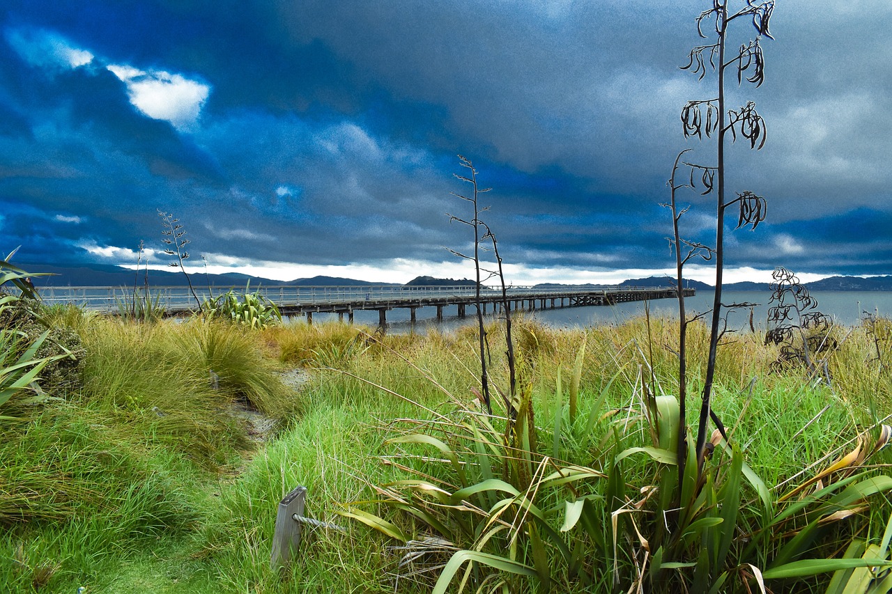 Bridge Grass Green Blue - Free photo on Pixabay - Pixabay