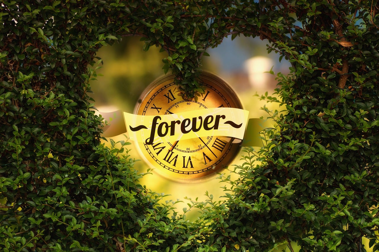 10,000+ Free Friends Forever & Forever Images - Pixabay