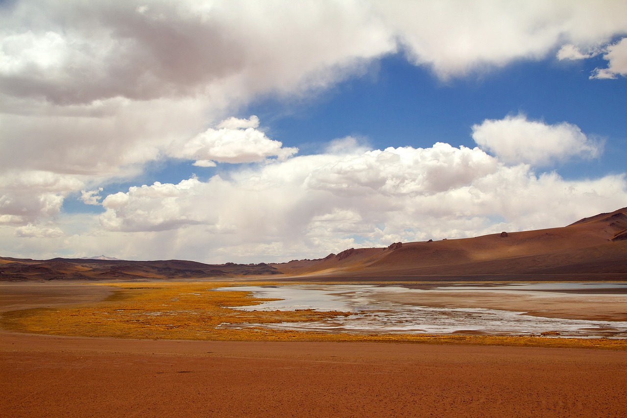 Más de 300 imágenes gratis de Sur De Chile y Chile - Pixabay