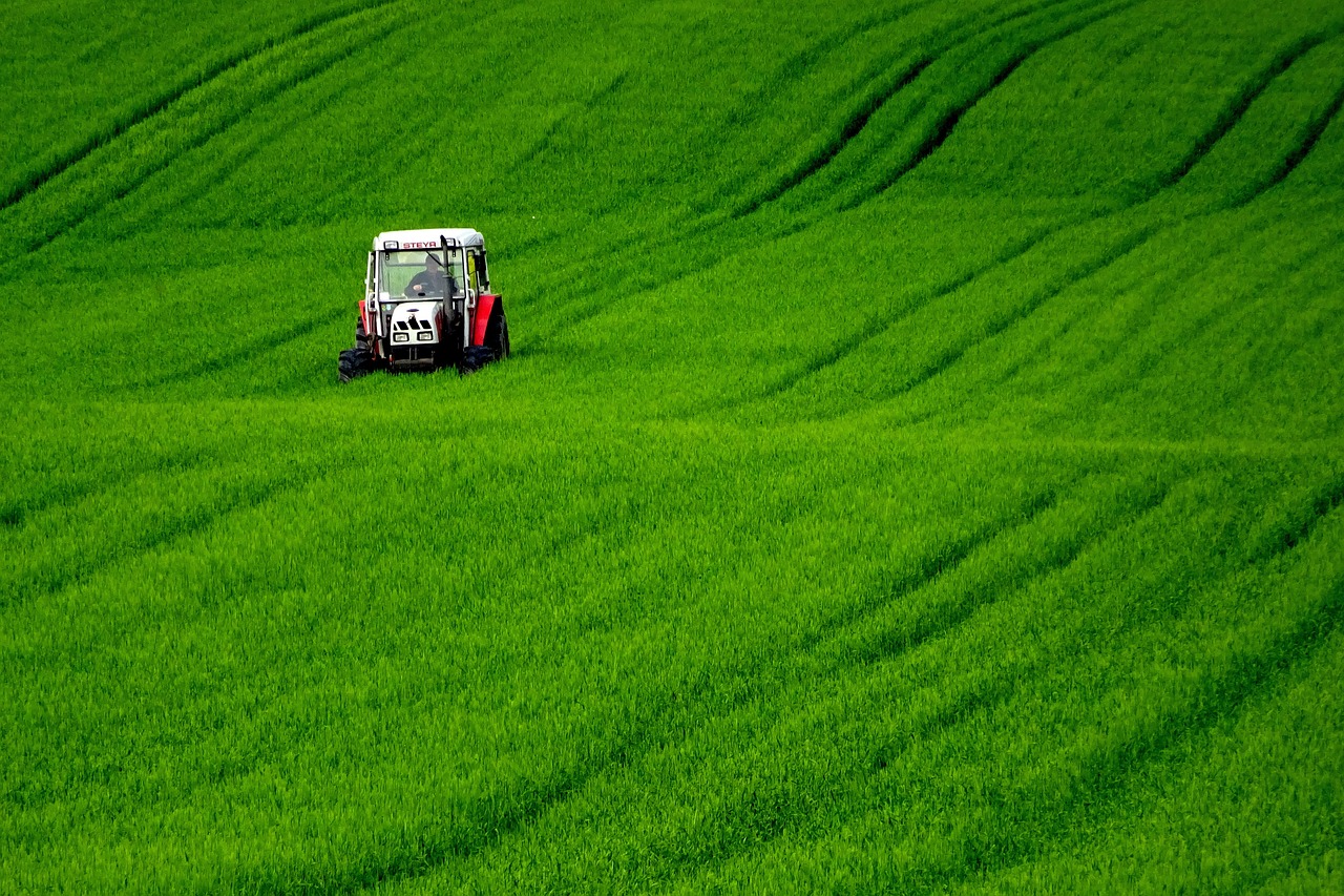 Landscape Meadow Field - Free photo on Pixabay