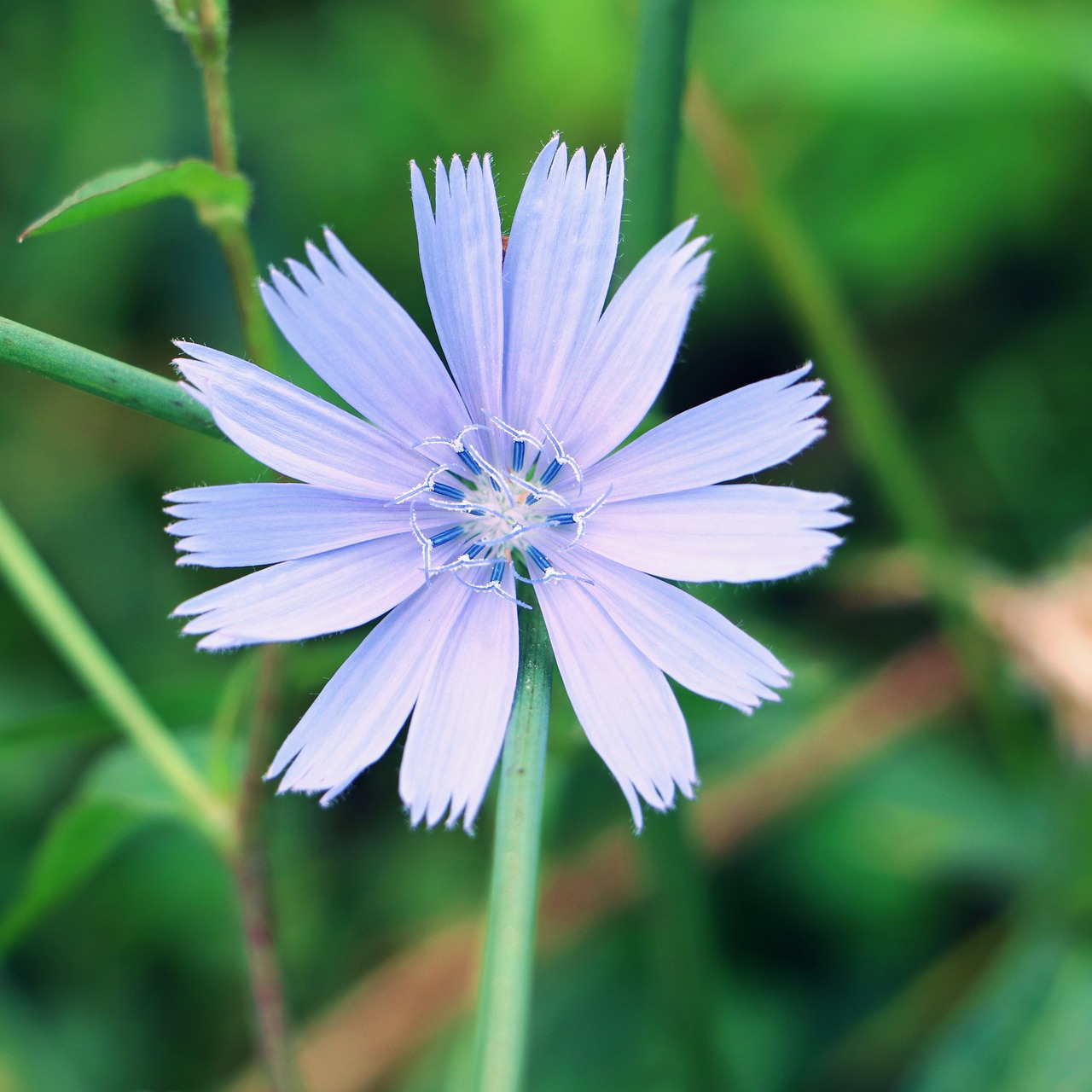 302 beautiful photo results - Pixabay