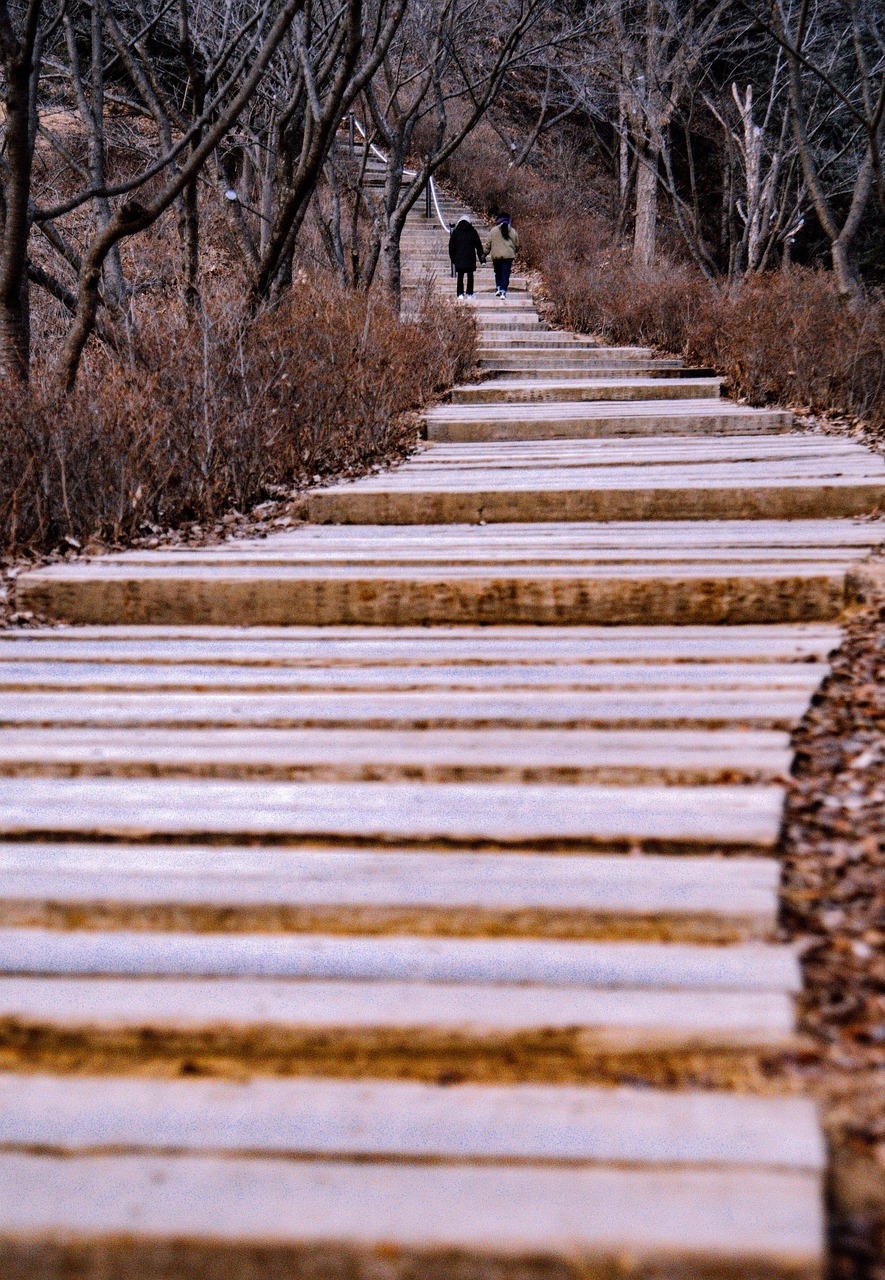 Path Stages Stairs - Free photo on Pixabay - Pixabay