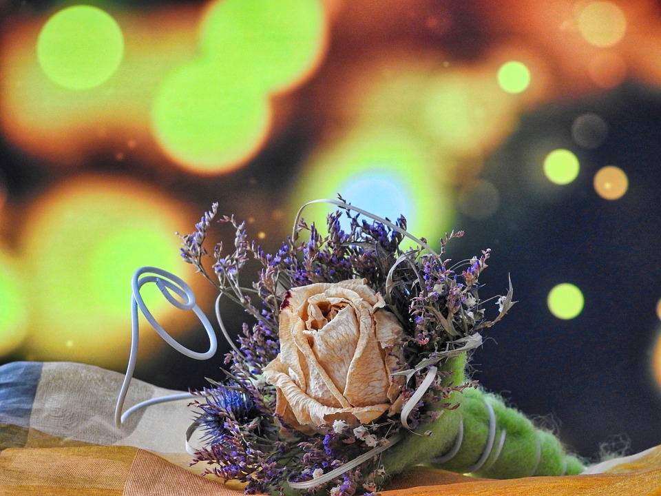 Trockenblume Blume Romantisch - Kostenloses Foto auf Pixabay - Pixabay