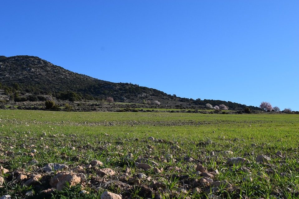 Landscape Field Nature - Free photo on Pixabay