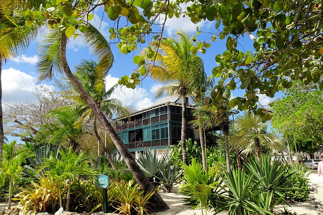 100+ Free Cayman & Cayman Islands Images - Pixabay