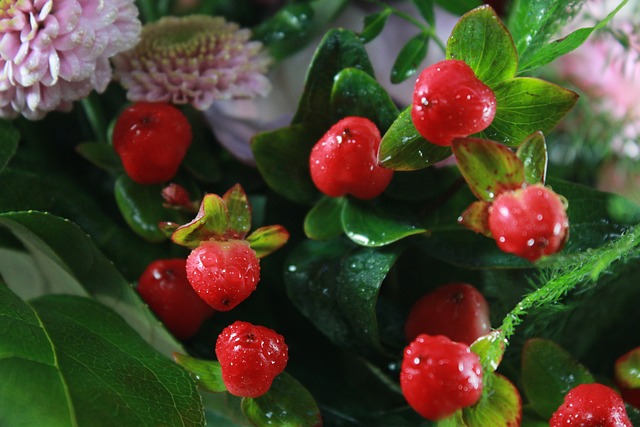 Baga Vermelho Fruta - Foto gratuita no Pixabay - Pixabay