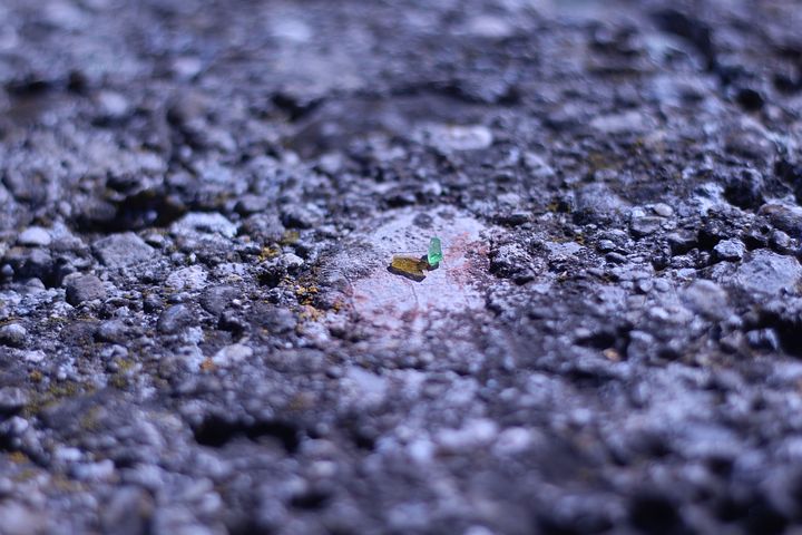 100+ Free Glass Shards & Glass Photos - Pixabay