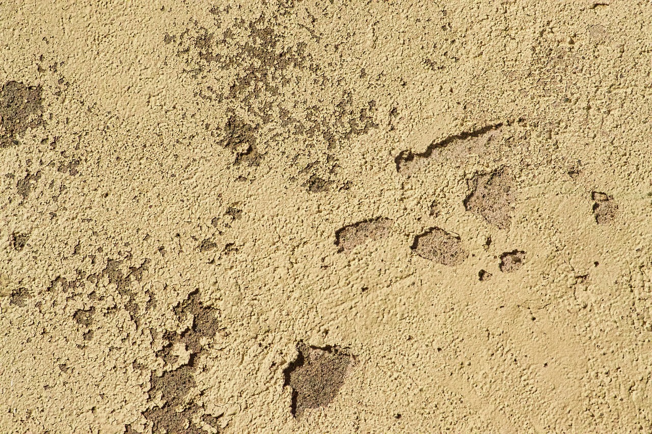 Texture Wall Facade - Free photo on Pixabay - Pixabay