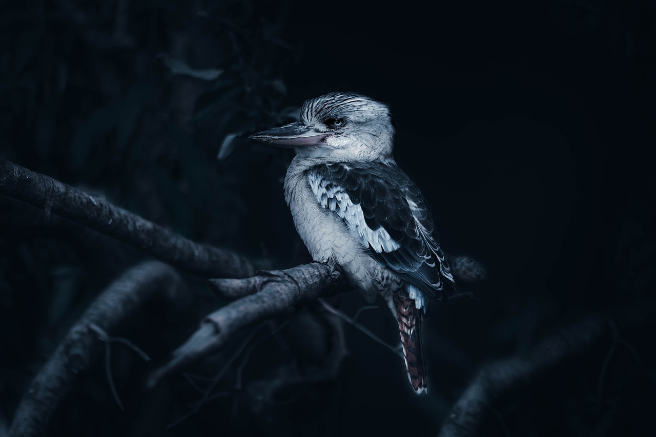 600,000+ Free Blue-Gray Background & Nature Images - Pixabay