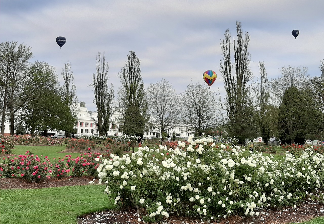 60+ Free Canberra & Australia Images - Pixabay
