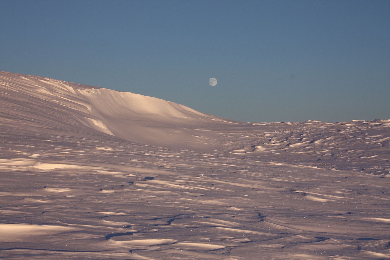70,000+ Free Schnee Wasserfarbe & Snow Images - Pixabay