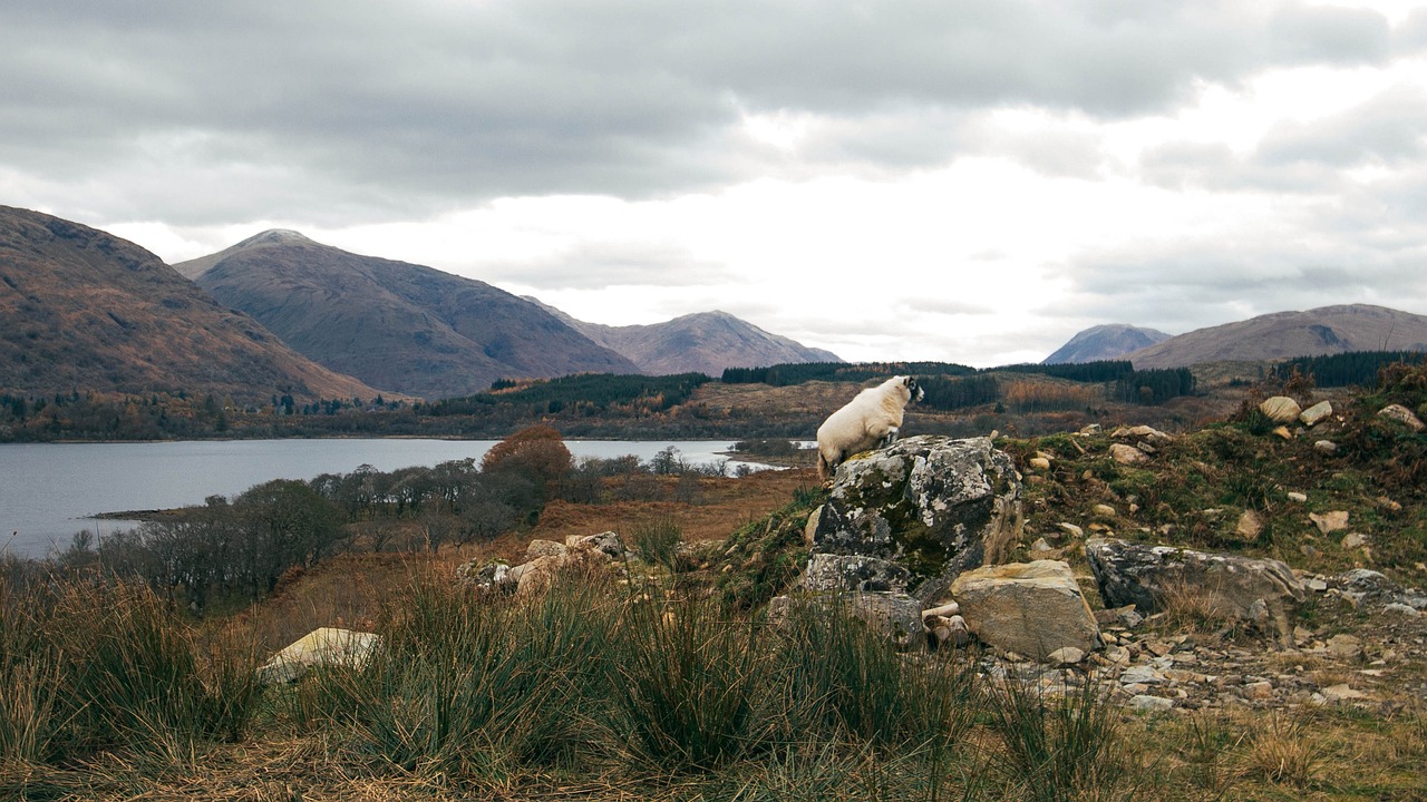 Loch Awe Scotland - Free photo on Pixabay - Pixabay