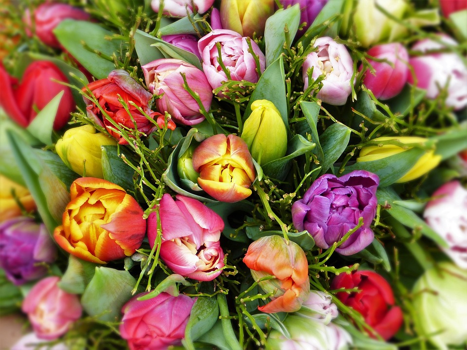 Tulpen Strauß Blumenstrauß - Kostenloses Foto auf Pixabay