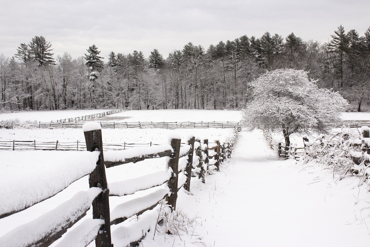 30,000+ Free New England Winter & New England Images - Pixabay