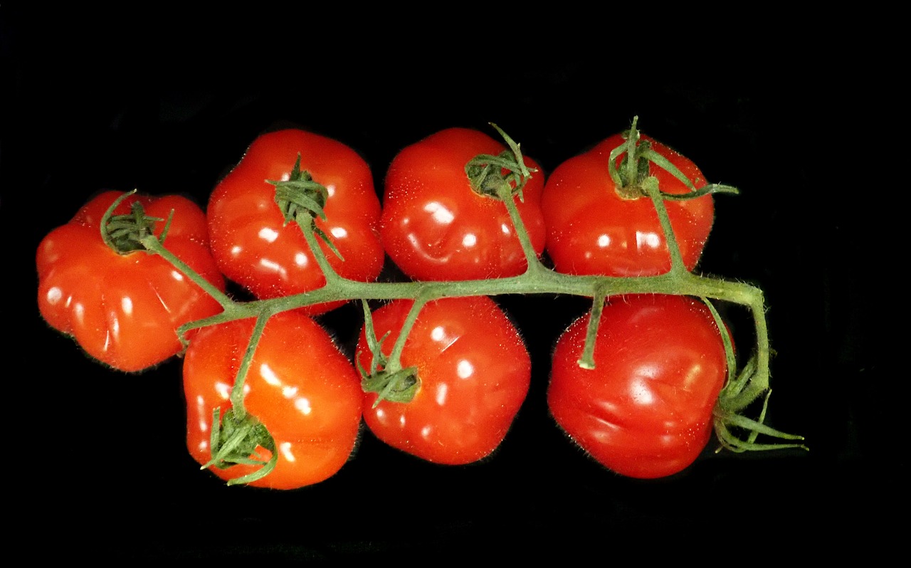 Tomatoes Vegetables Fresh - Free photo on Pixabay