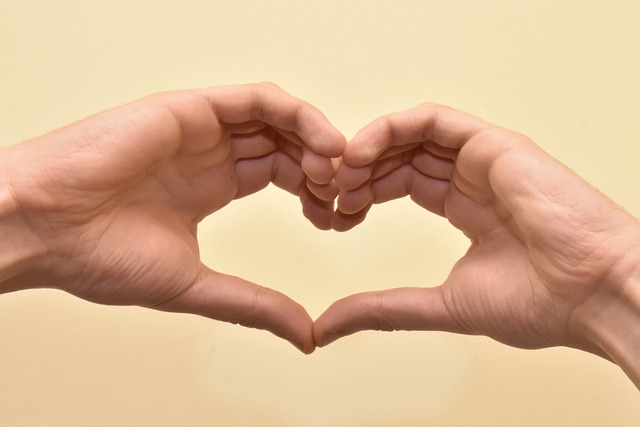 Corazón Amor Las Manos El - Foto gratis en Pixabay