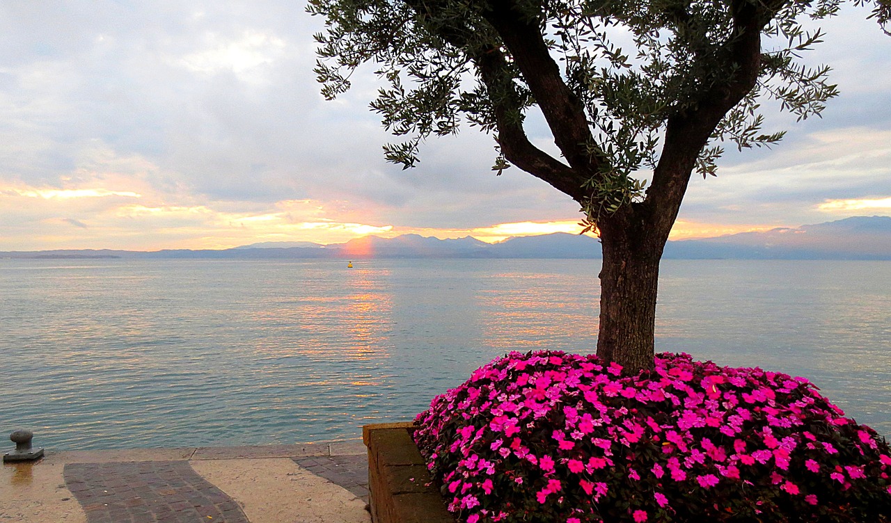 Lazise Garda Lake - Free photo on Pixabay - Pixabay