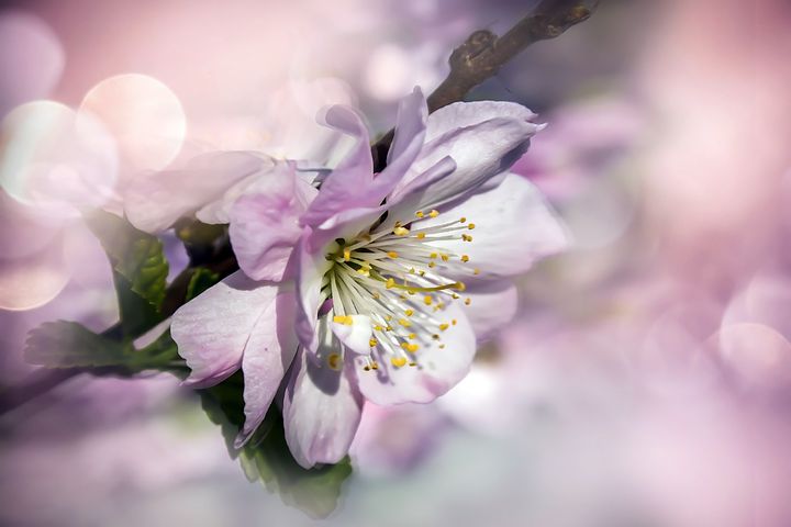 200+ Free Beautiful Inspirational & Inspiration Images - Pixabay