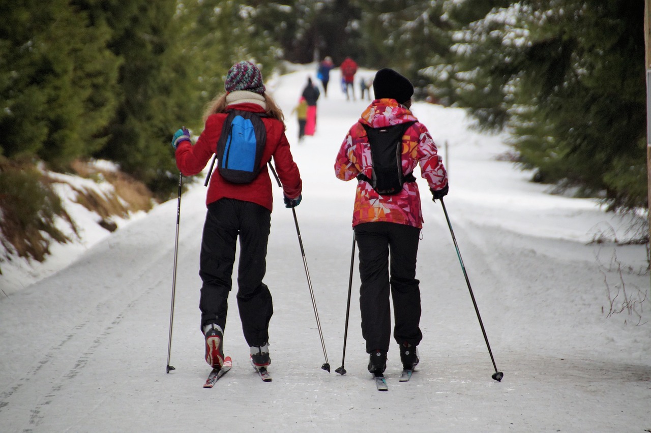 40,000+ Free Cross-Country Ski & Winter Images - Pixabay