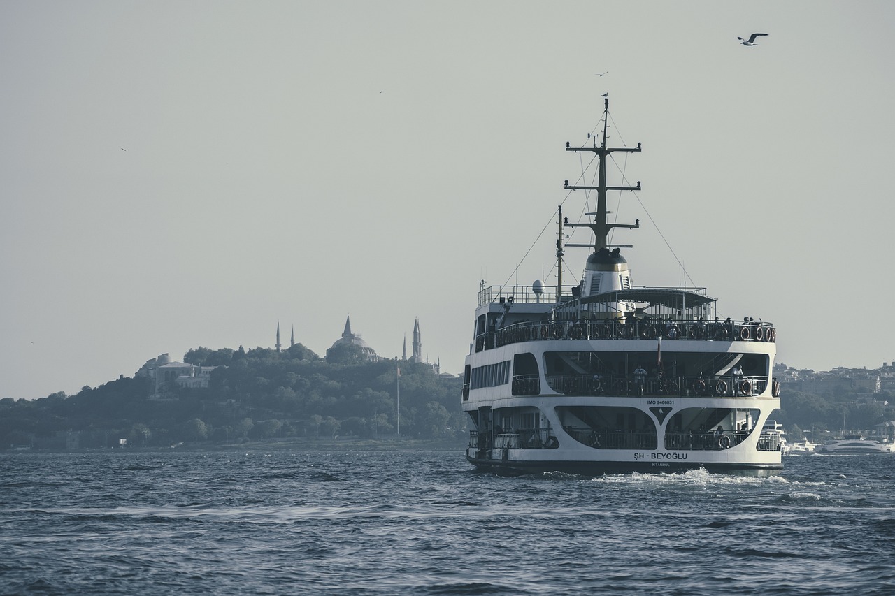 Istanbul City Traveler Trip - Free photo on Pixabay - Pixabay