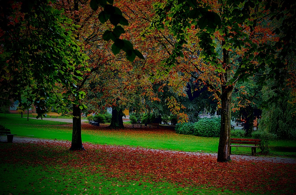 Fall Park Leaves City - Free photo on Pixabay