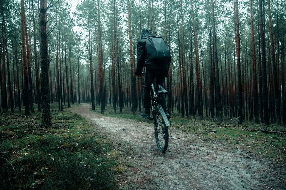 Miss Bike Forest - Free photo on Pixabay