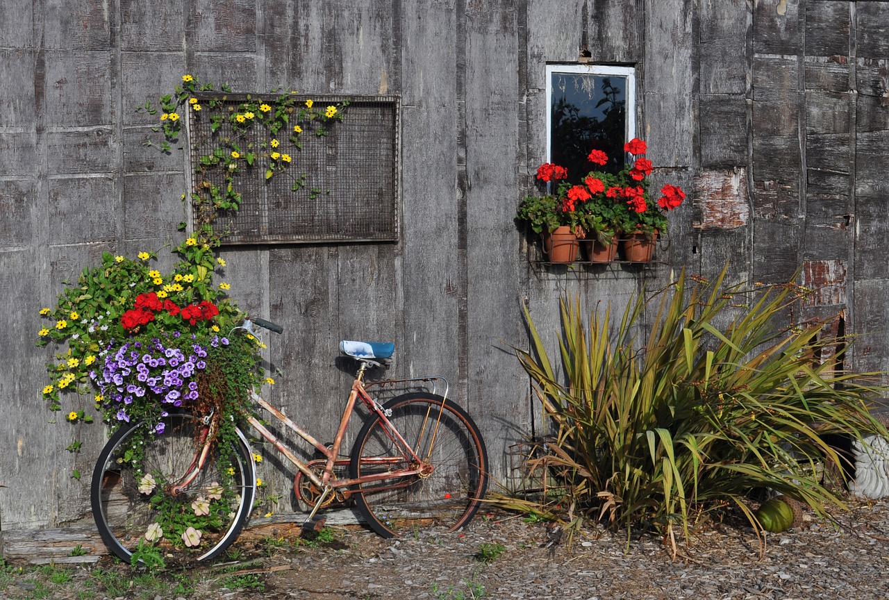 40,000+ Free Bike Wallpaper & Bike Images - Pixabay