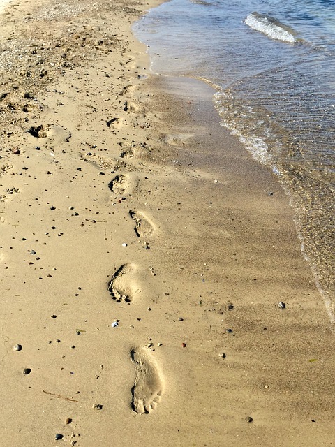 1,000+ Free Footprint & Nature Images - Pixabay