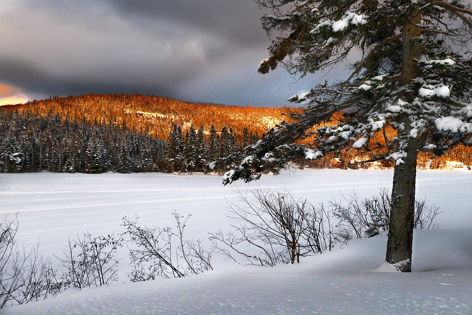 Landscape Nature Winter - Free photo on Pixabay