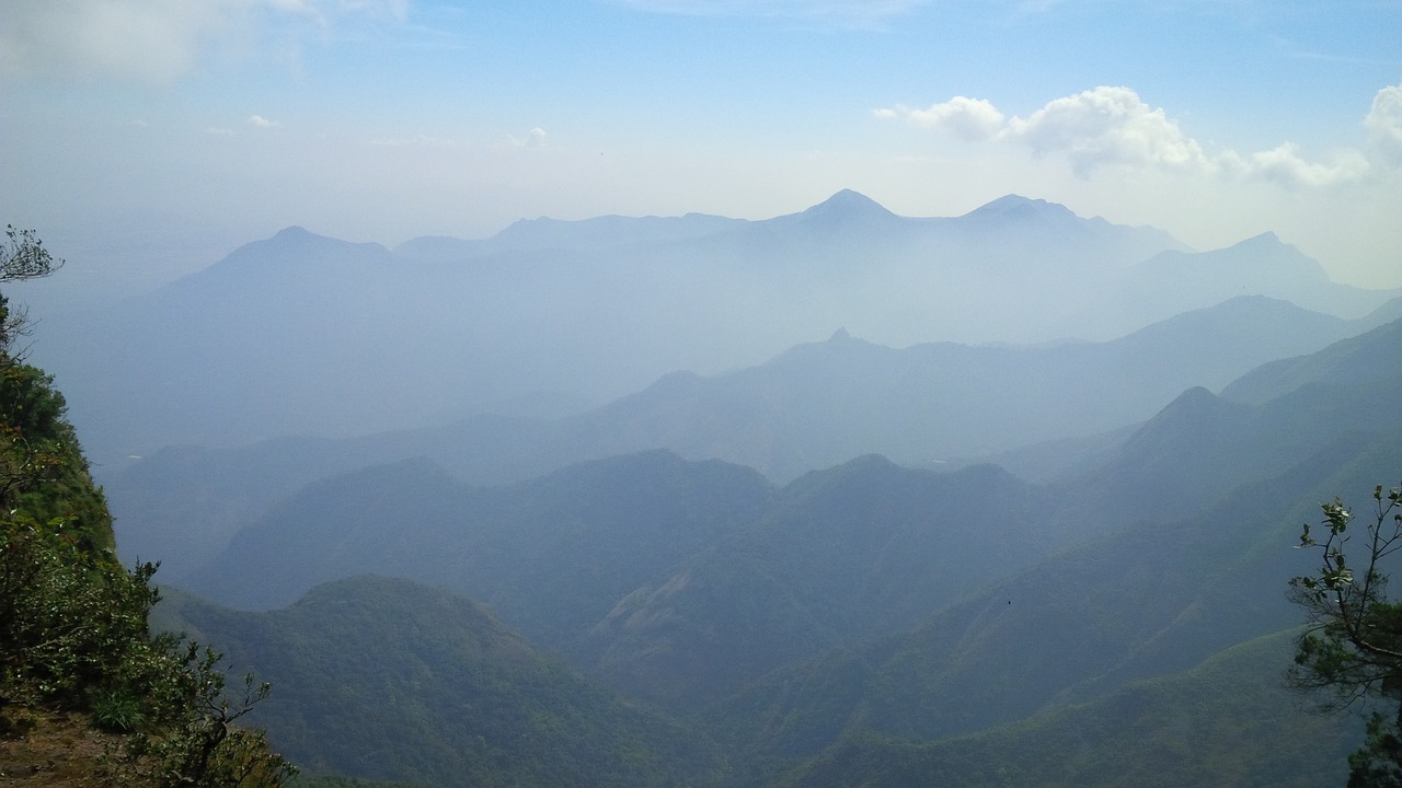 1,000+ Free Munnar Kerala & Kerala Images - Pixabay