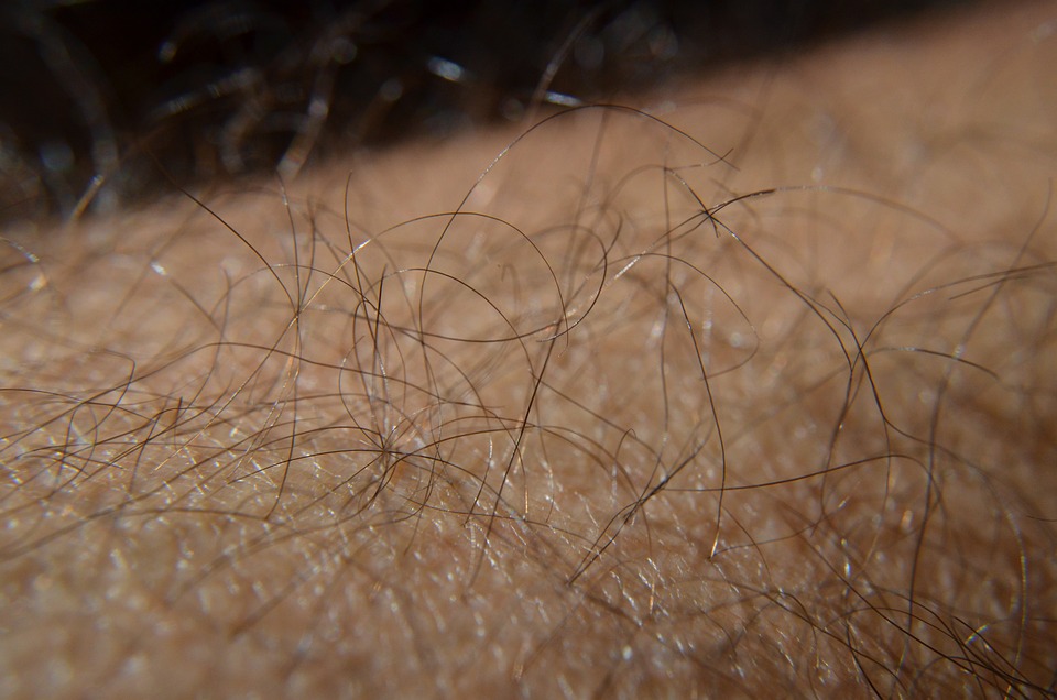Hair Skin Glamour - Free photo on Pixabay - Pixabay
