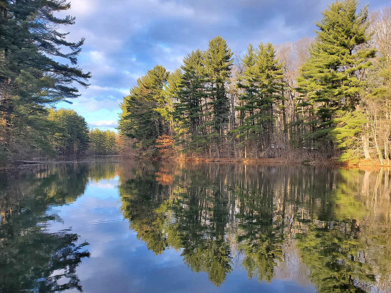 See Im Wald Teich Natur - Kostenloses Foto auf Pixabay - Pixabay