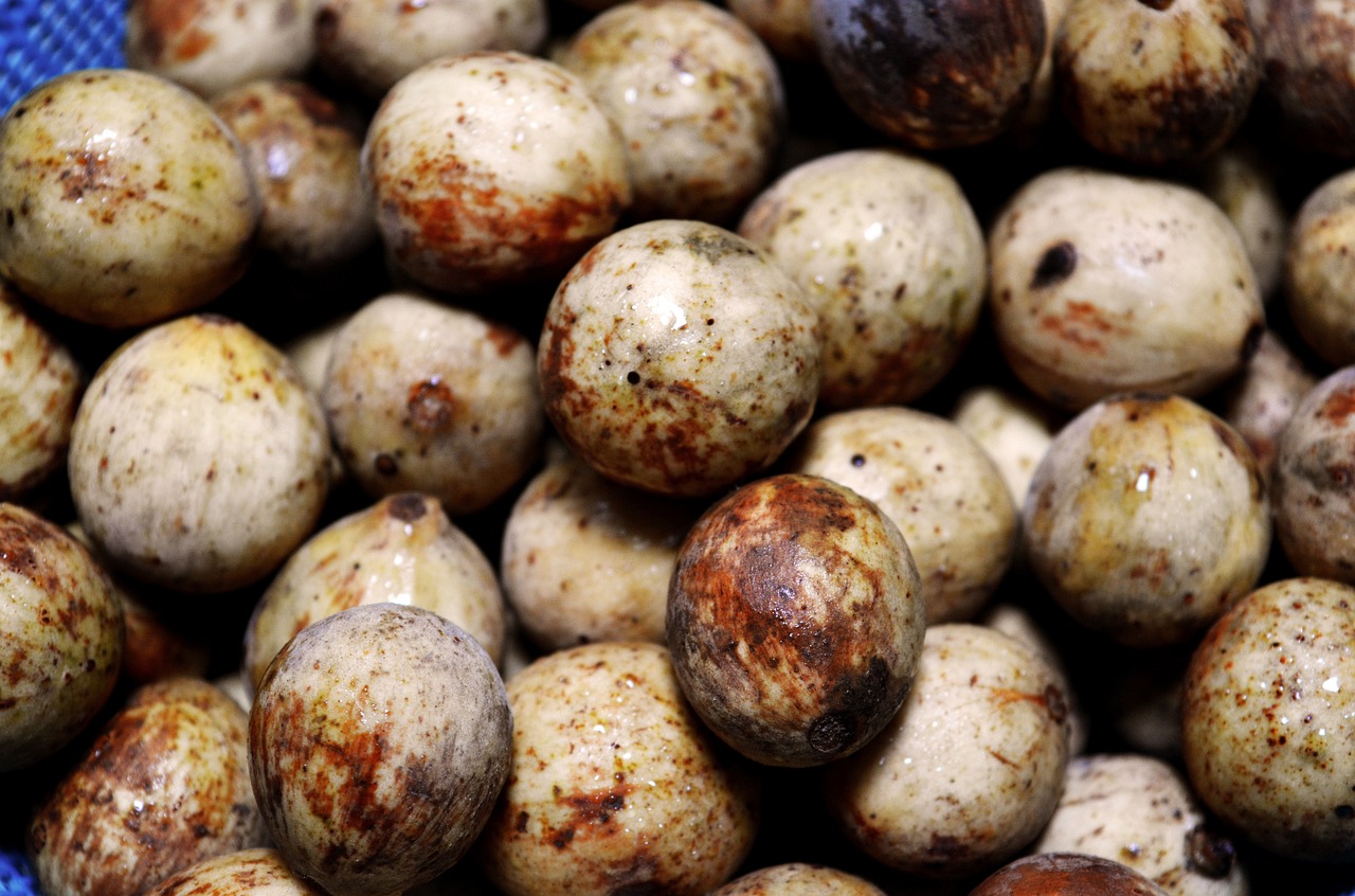 Fruta Duku Discover The Exotic Duku Fruit: A Taste Of Southeast Asia