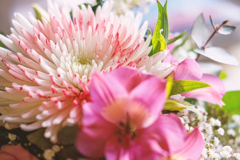 Bouquet De Fleurs Fleur Dalie Le - Photo gratuite sur Pixabay - Pixabay