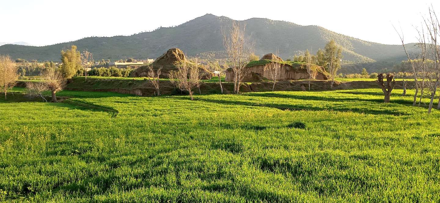 Tabiullah_Salarzai - Pixabay