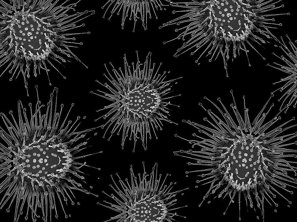 Health Disease Virus - Free image on Pixabay