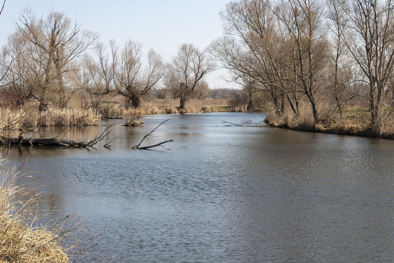 Landscape River Water - Free photo on Pixabay - Pixabay