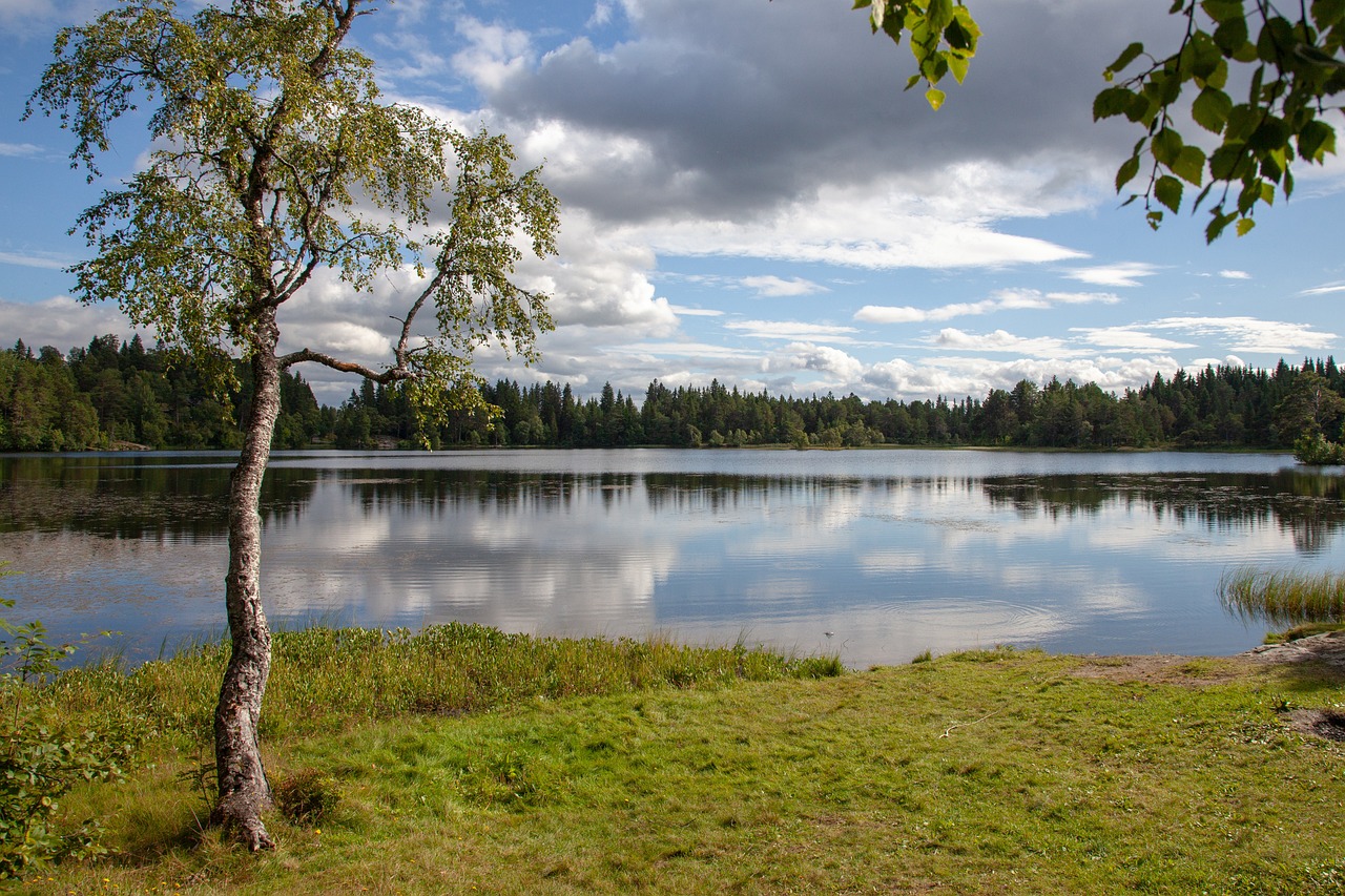 Noruega Lago Paisaje - Foto gratis en Pixabay - Pixabay