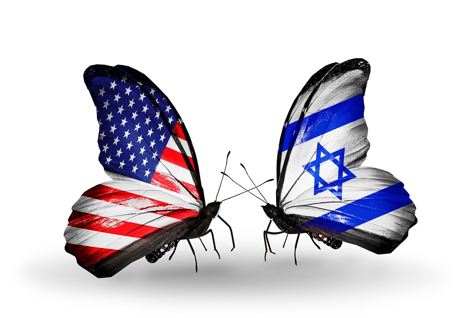Flag American Insects - Free image on Pixabay