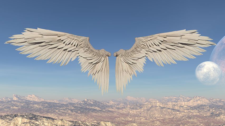 100+ Free Angel Birds & Angel Images - Pixabay