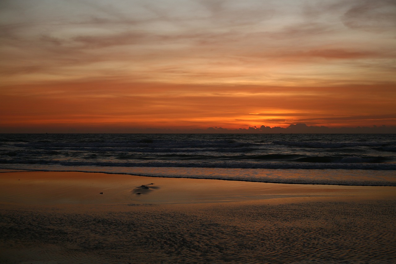 100+ Free Cinematic Nature & Cinematic Images - Pixabay