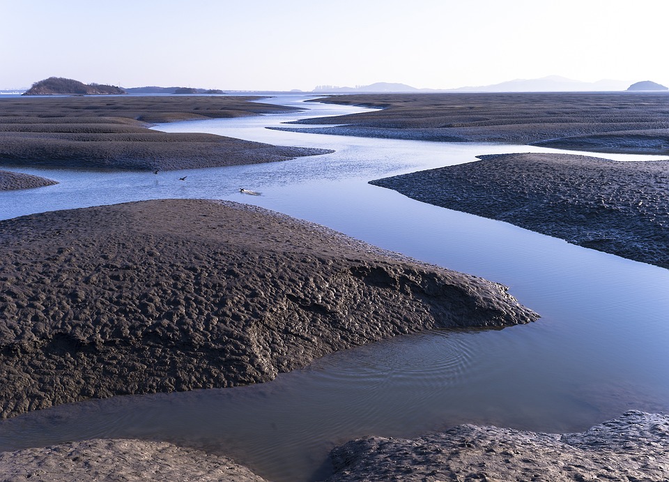 Ocean Foreshore Low Tide - Free photo on Pixabay
