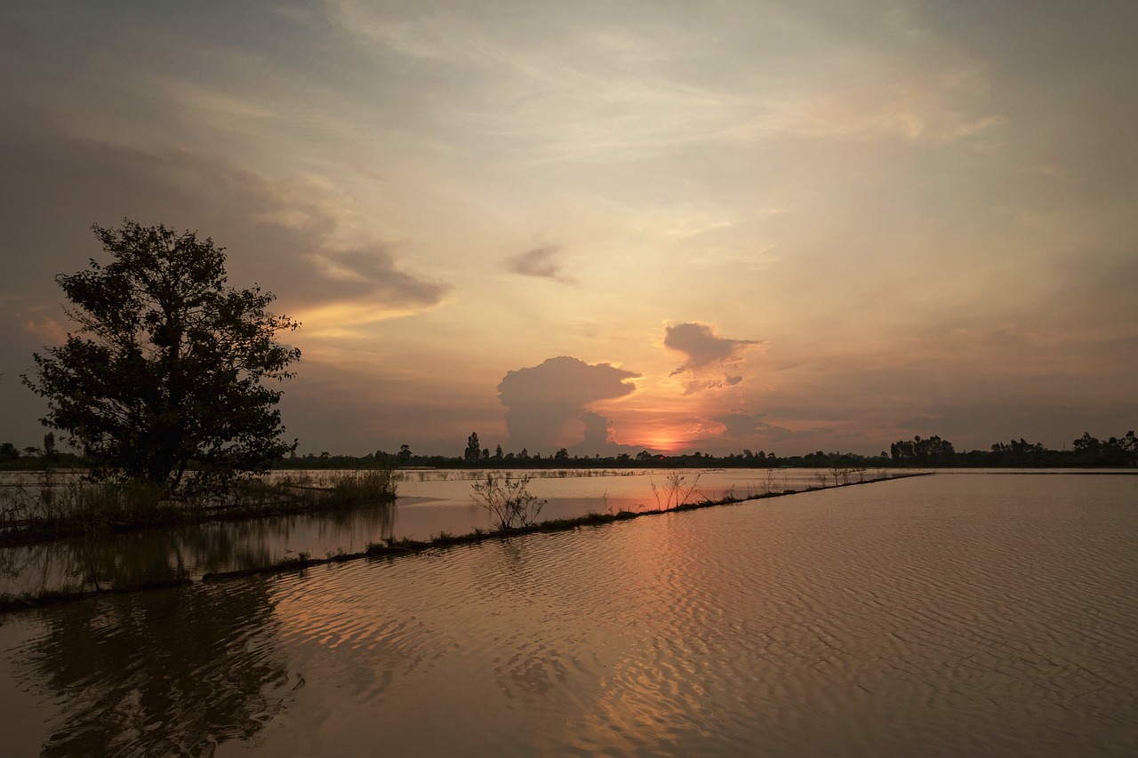 Sunshine Sundown Summer - Free photo on Pixabay - Pixabay