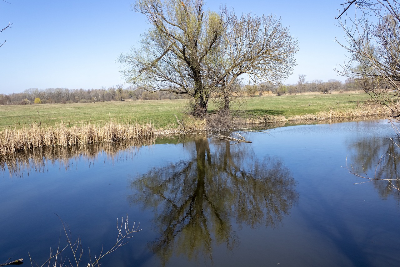Paisaje Río Agua - Foto gratis en Pixabay - Pixabay