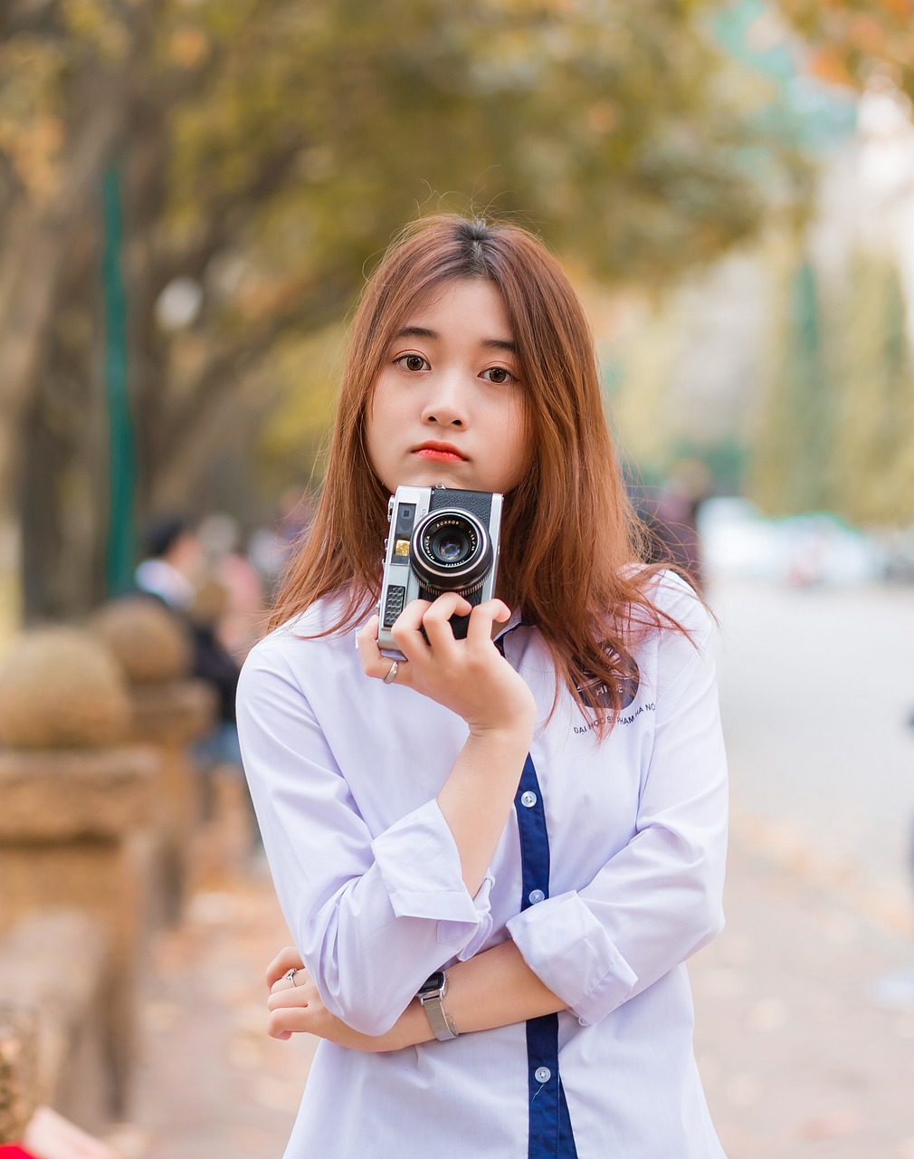 500000+ Hinh Cute & ảnh Cute miễn phí - Pixabay
