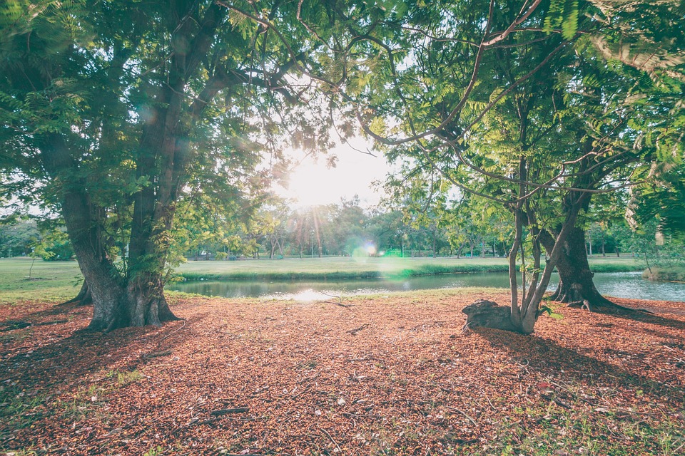 Paysage Nature Contexte - Photo gratuite sur Pixabay - Pixabay