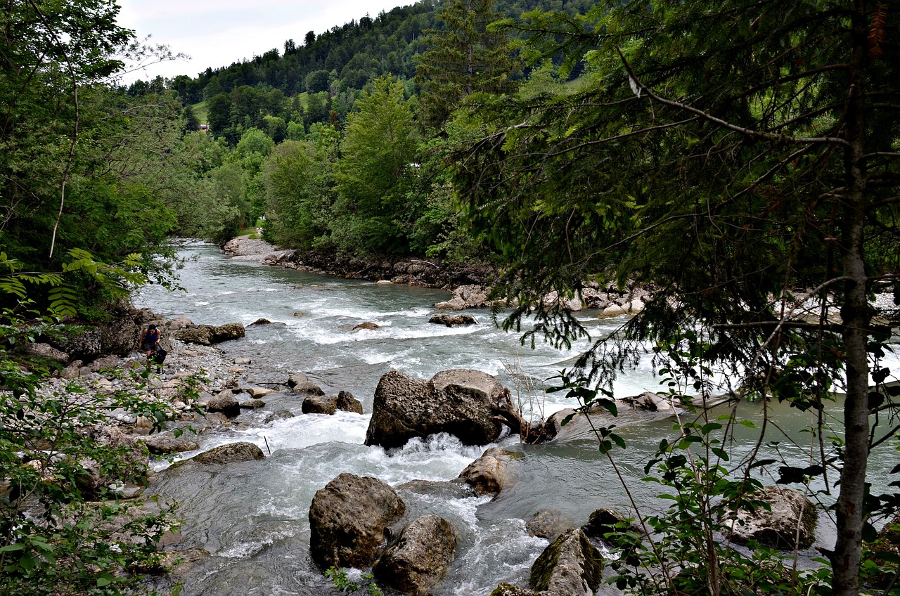 L'Eau Couler Ruisseau - Photo gratuite sur Pixabay - Pixabay