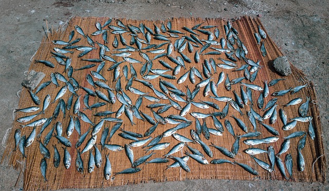 Fish Fishing Industry Drying - Free photo on Pixabay