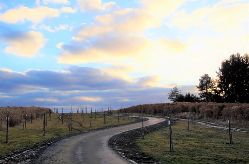 60+ kostenlose Neuer Weg und Neue Wege-Bilder - Pixabay